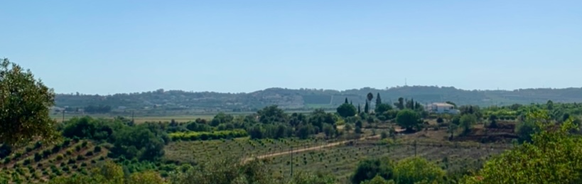 Sugar Valley is Teaming Up Now and we are looking for a farmer – Sugar ...